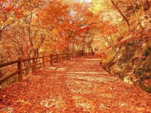 英文契約書の単語・用語/ entrust（entrustment）による委託と受託（「まかせる」と「引き受ける」）の表現の簡単なまとめ